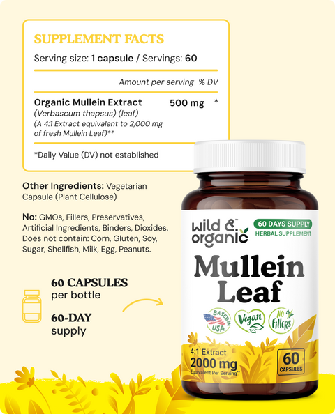 Mullein Leaf Capsules - 60 Count