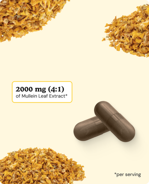 Mullein Leaf Capsules - 60 Count