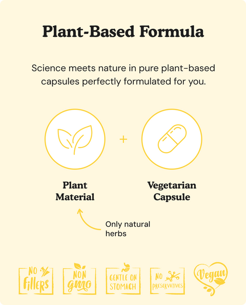 Mullein Leaf Capsules - 60 Count