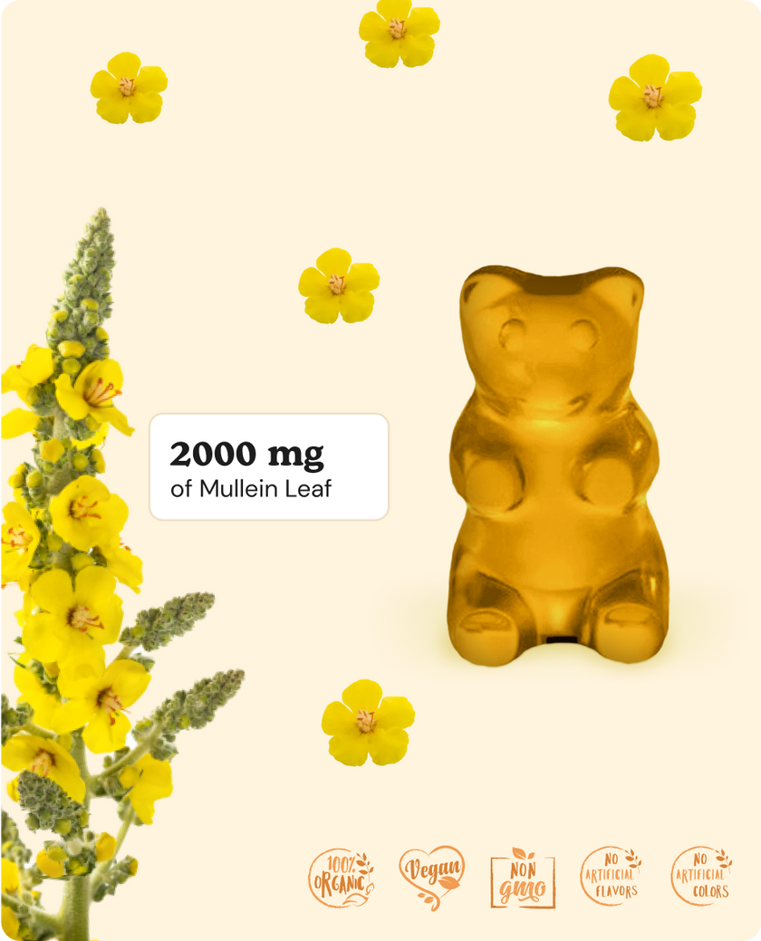 Mullein Gummies, 2000Mg., 60 Chews | Wild & Organic
