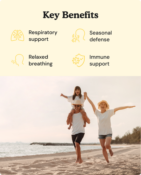 Mullein Leaf Capsules - 60 Count