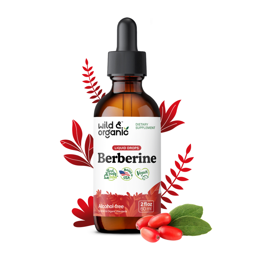 Buy Berberine Tincture - 2 fl.oz. Bottle | Wild & Organic