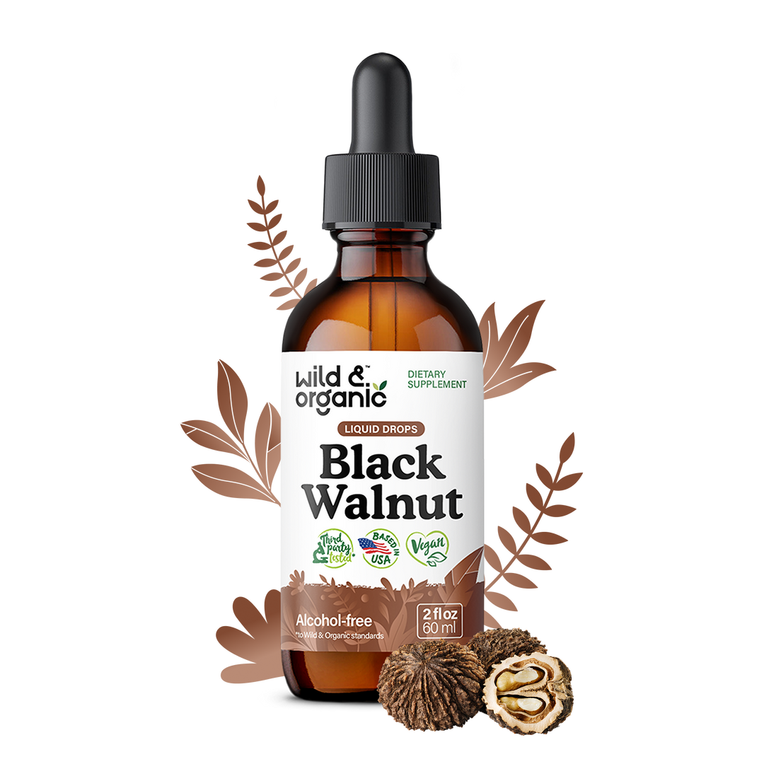 Buy Black Walnut Tincture - 2 fl.oz. Bottle | Wild & Organic
