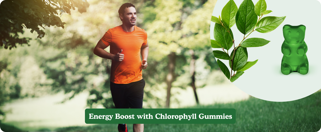 Natural Chlorophyll Extract Supplements | Wild & Organic
