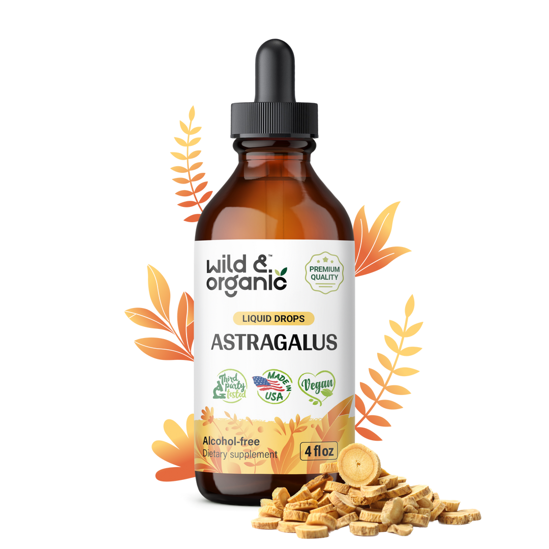 Astragalus Extract Supplement - 4 Fl. Oz. Bottle | Wild & Organic