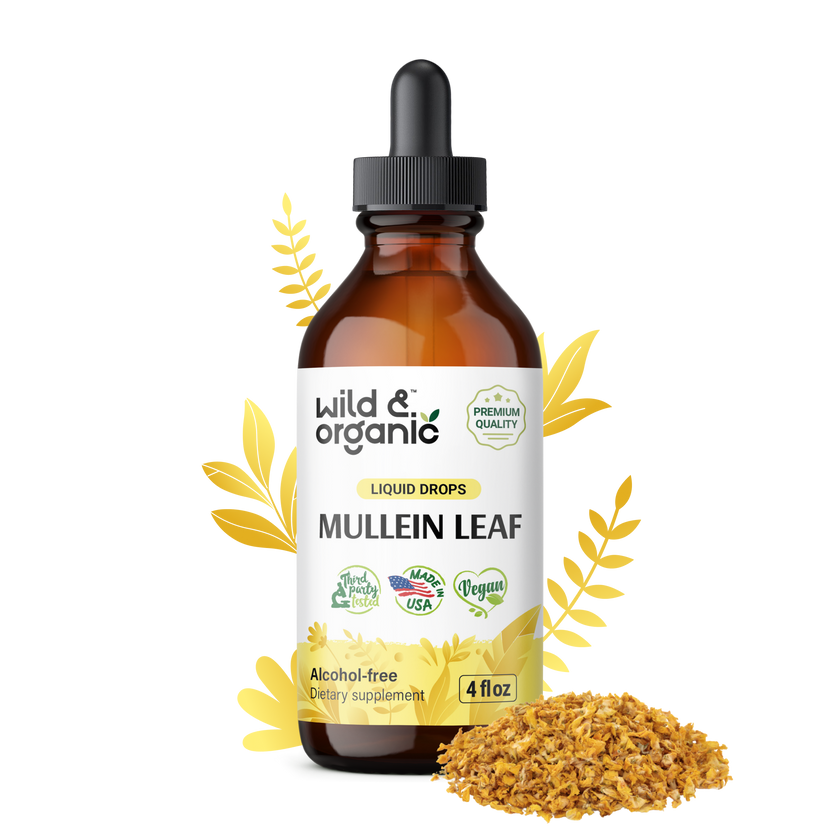 Buy Mullein Leaf Tincture - 4 fl.oz. Bottle | Wild & Organic